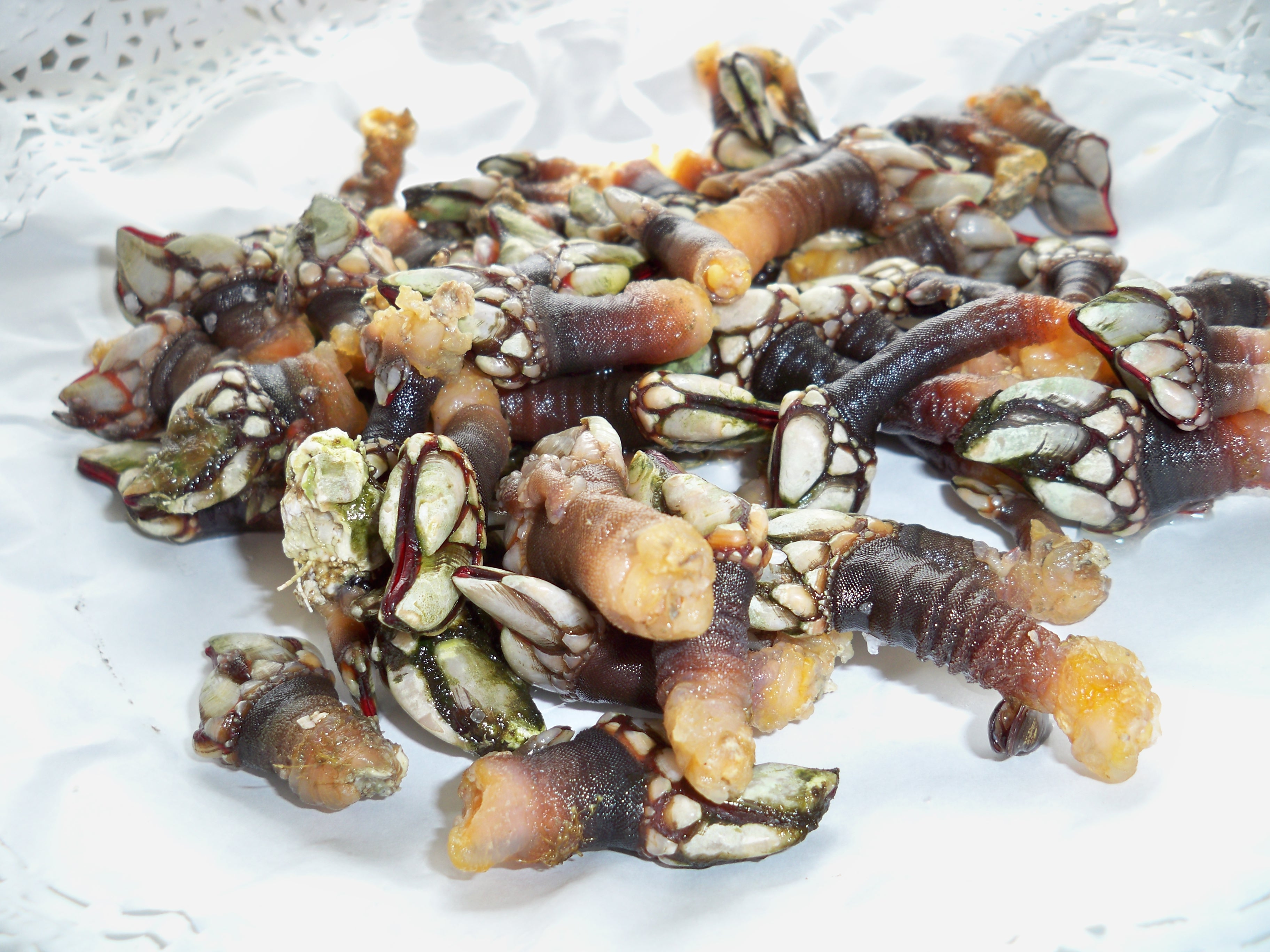 My Five: Favorite Foods to Eat in Spain - Wine4Food